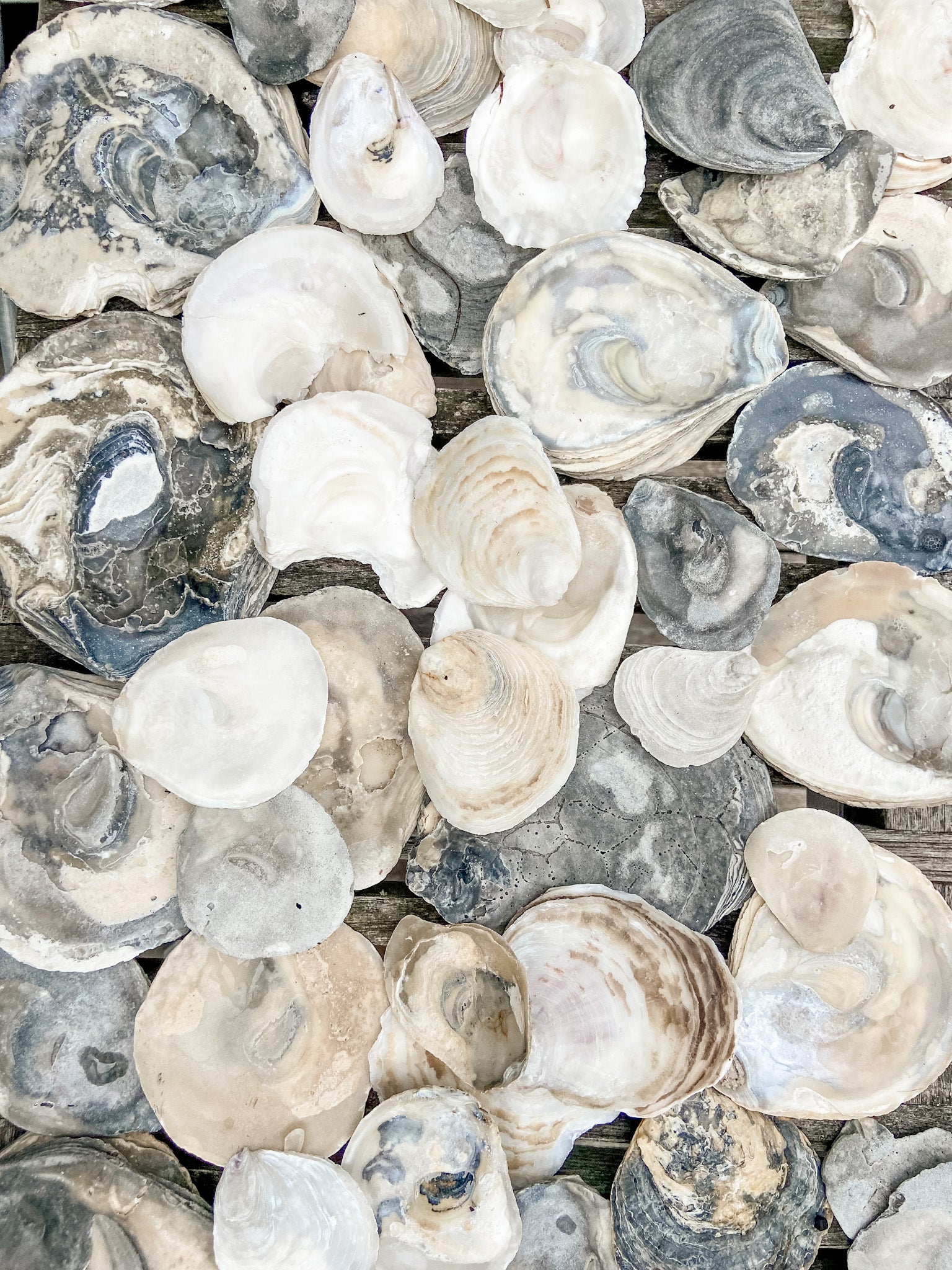 Sea Tribe Coastal Wall Hanging — Drifters Coastal Hangs